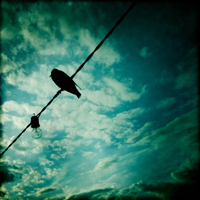 Robert M Pacey | Vancouver Artist