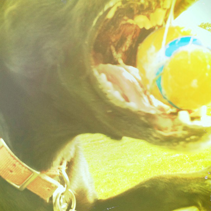 Robert M Pacey | Vancouver Artist