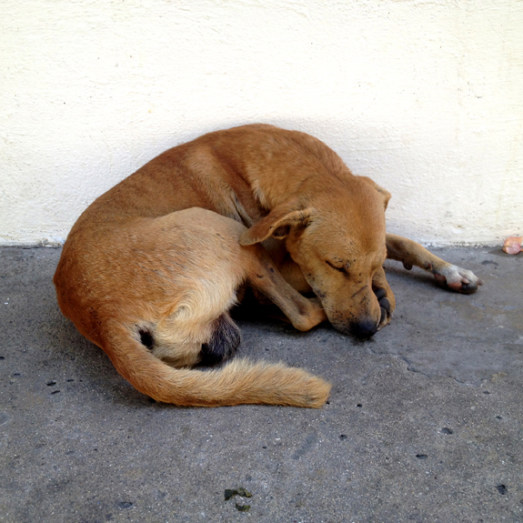 Robert M Pacey | Vancouver Artist